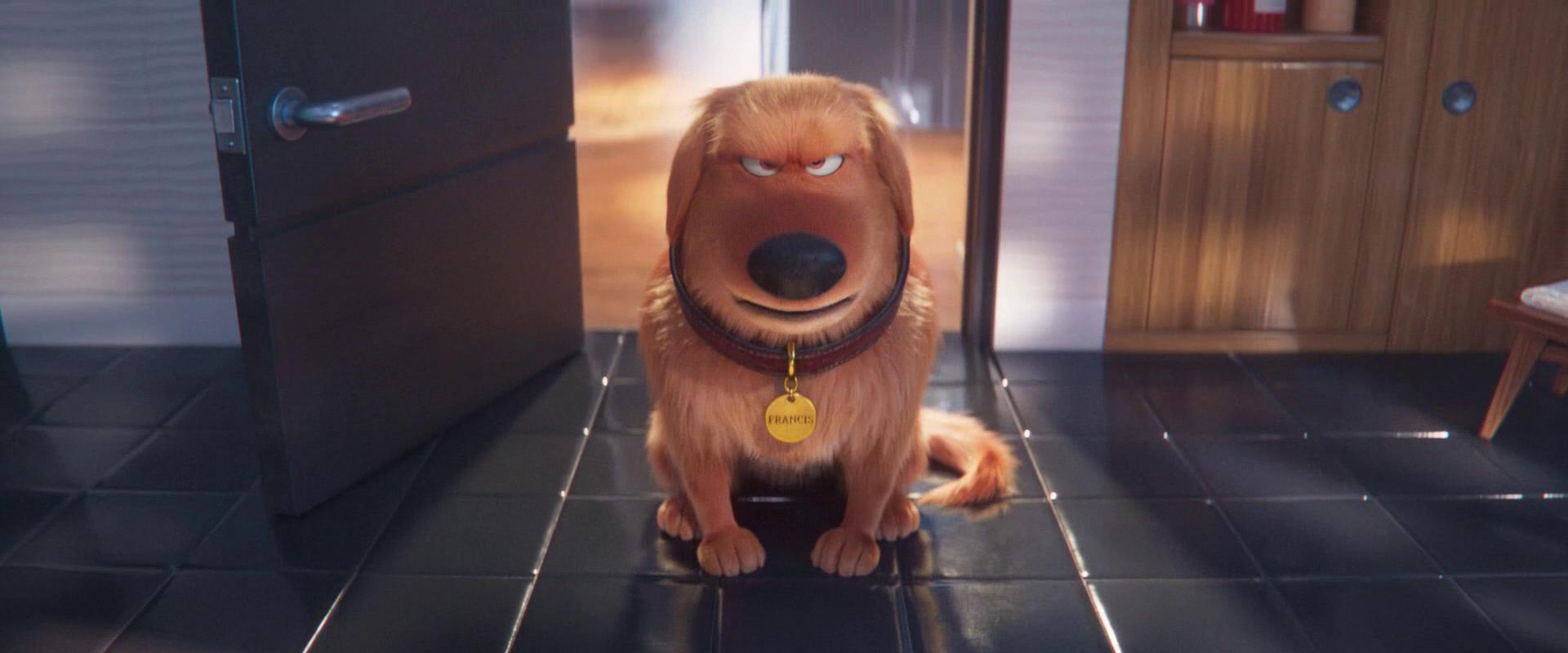 75 FUN FACTS about SUPER MARIO BROS THE MOVIE